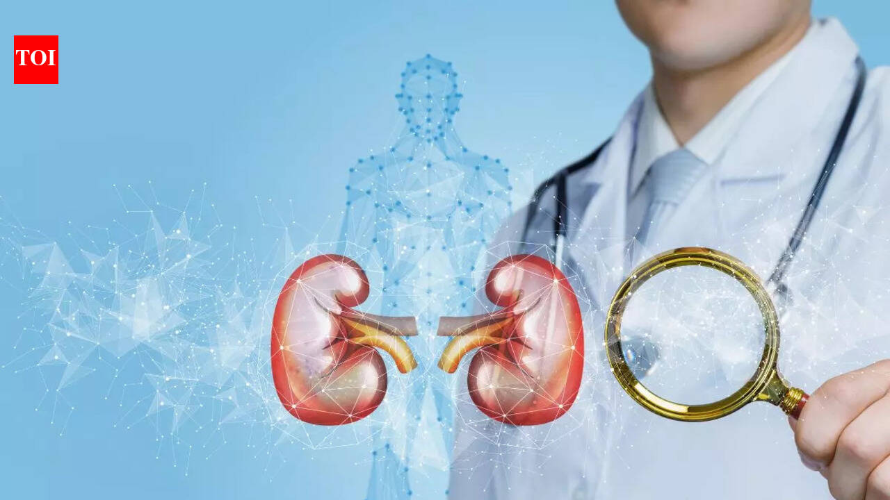 Warning signs that indicate you must pay attention to your kidneys