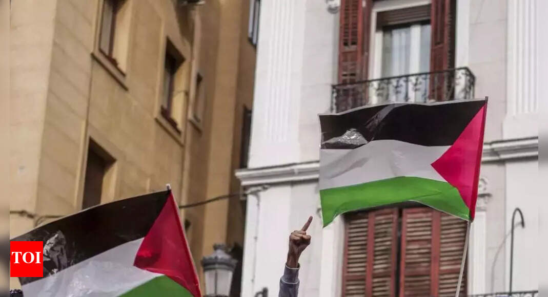 CPI(M) holds massive pro-Palestine rally at Kerala's Kozhikode | India ...