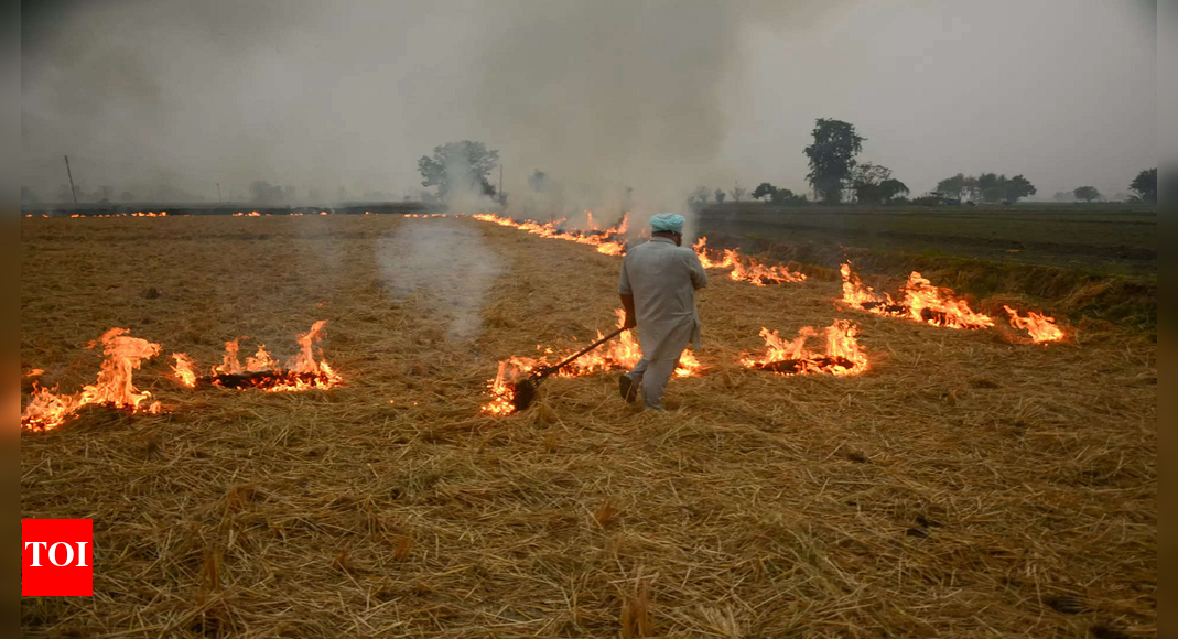 Chhawla: Air Pollution: Farmer held in southwest Delhi’s Chhawla over ...