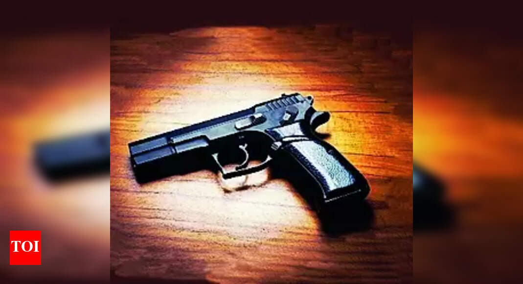 Firearm Use: Police Investigating Celebratory Firing On Goon’s B’day At ...