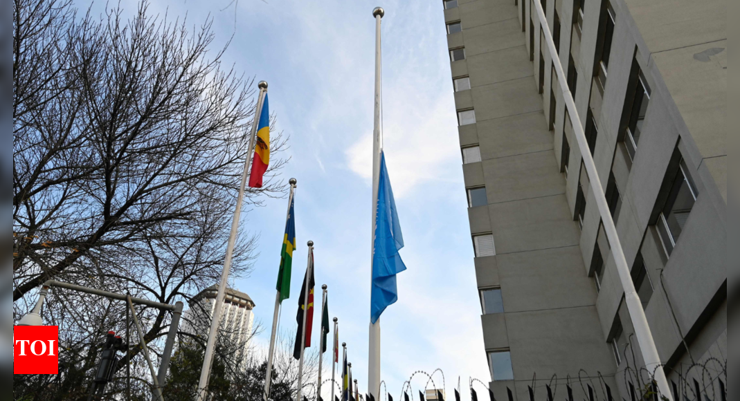 Charles Darwin: UN flags at half-mast for staff killed in Gaza - Times ...