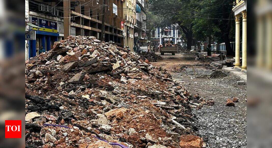 EV-centric public transport in city gathers steam as first bus stop ...