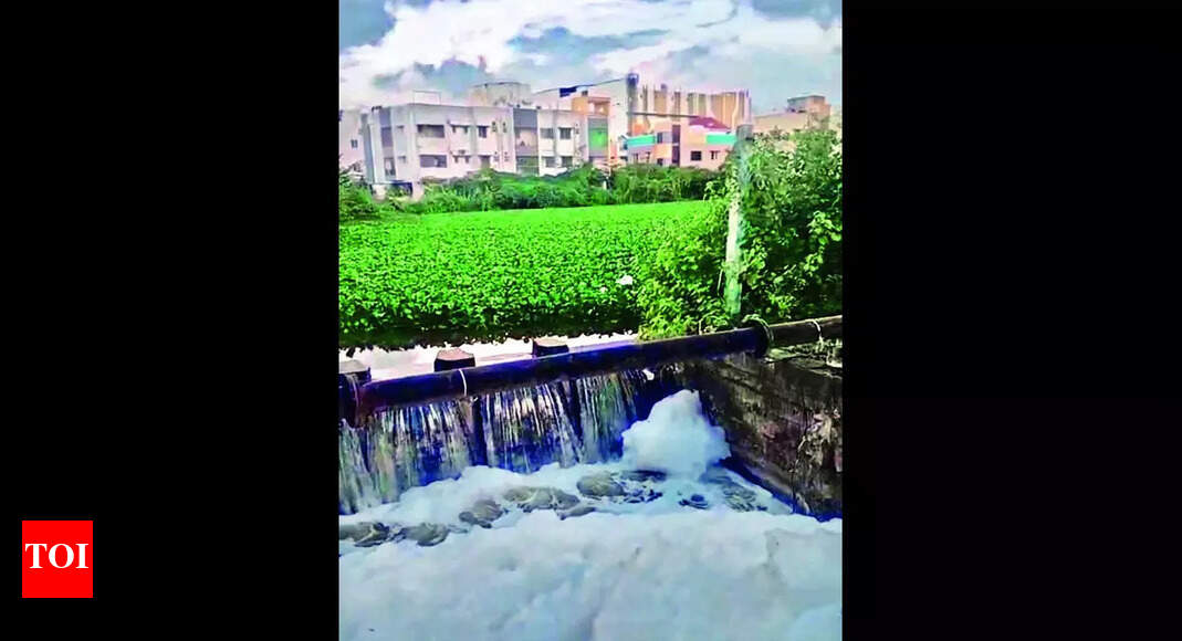 Sewage, effluents turn Putheri lake into sea of foam | Chennai News ...