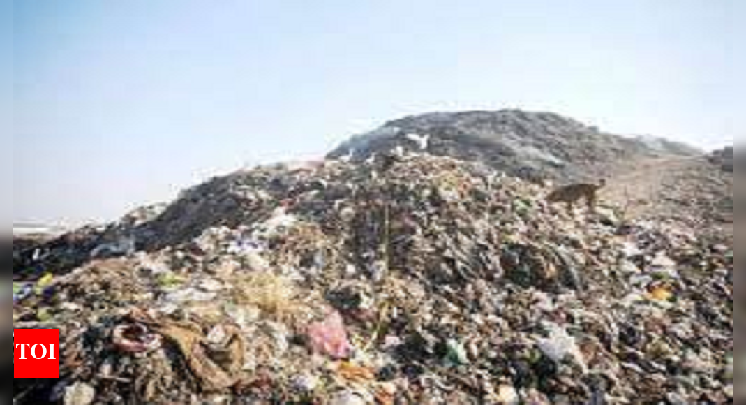 Waste Dumping: 8k+ waste dumping plaints in 5 months, 77% on garbage ...