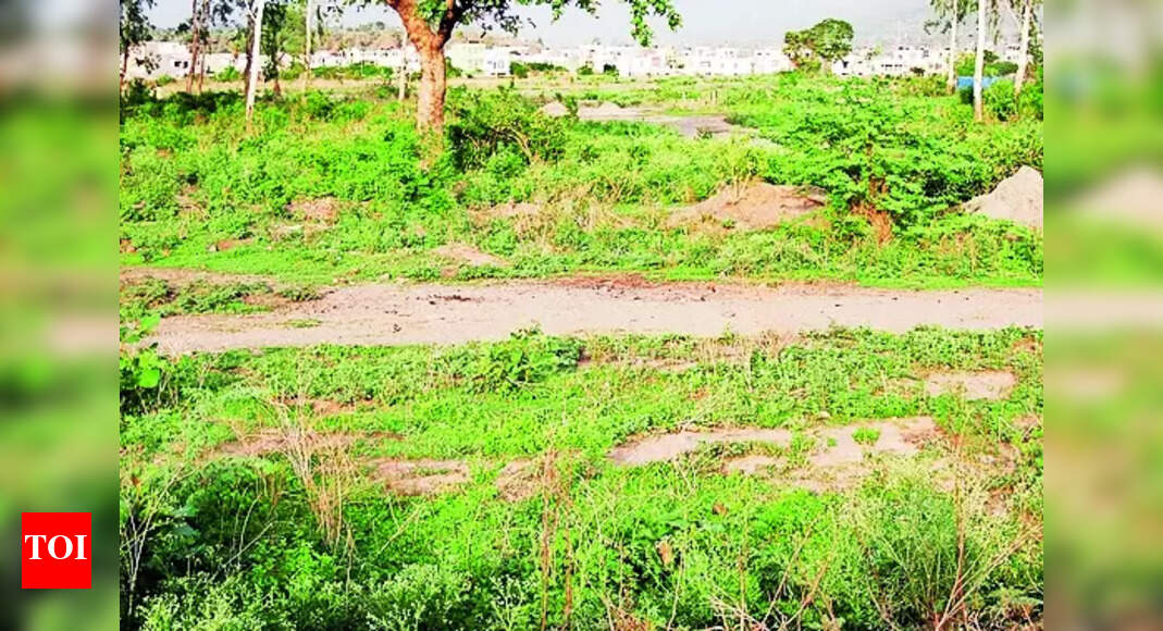 Snatched: Plots Of Poor Snatched In Ggn, Take Action: Hc To Hry ...