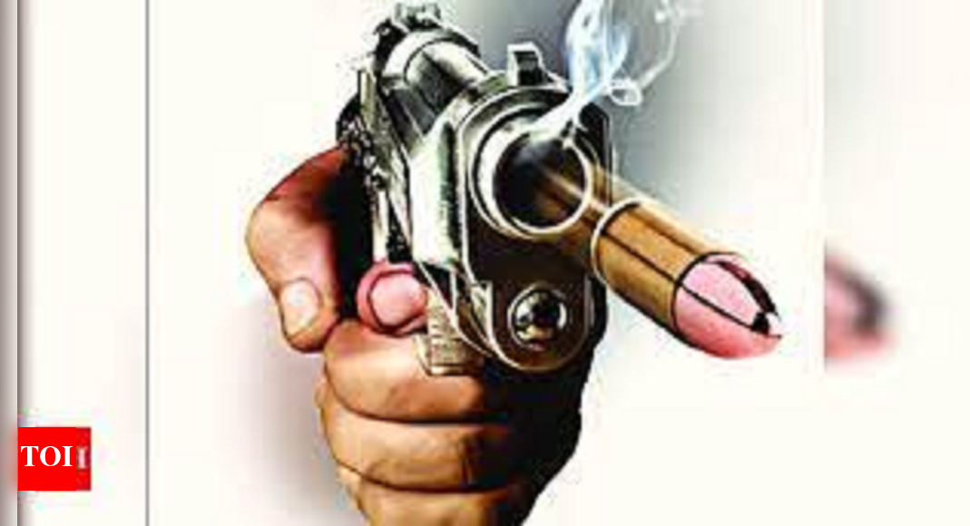 Hit: Stray Bullet Hits Door Of Ias Officer’s House | Chandigarh News ...
