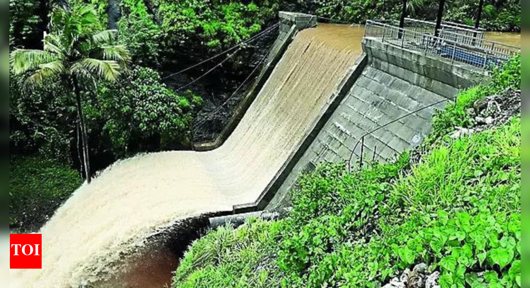 Seven friends set up Kerala’s first pvt hydel power plant in Idukki ...