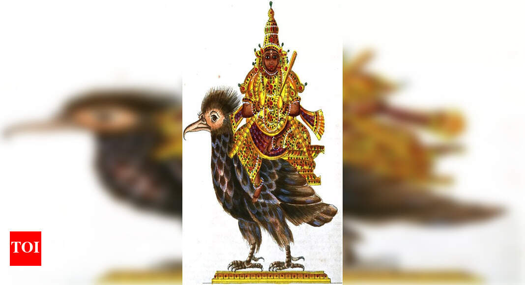 Spirituality: Effect of Ketu in different houses - The Times of India