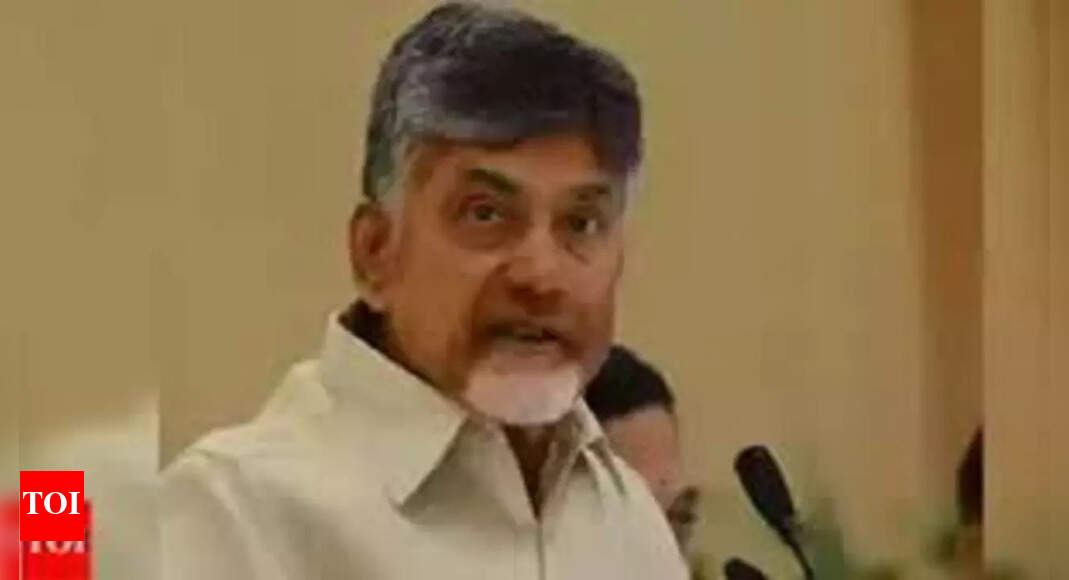 N Chandrababu Naidu's counsels file memo on his health before HC ...