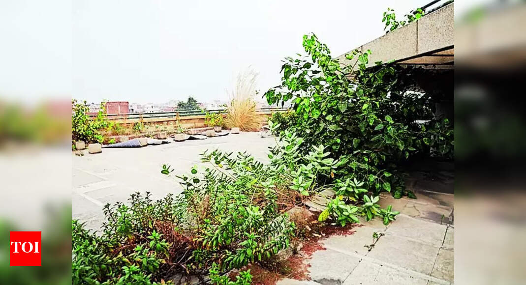 Parking: Mc’s Oldest City Office, Multi-storey Parking Lot May Get A ...