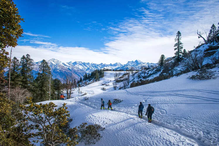 What makes Manali irresistible in the winters? | Times of India Travel