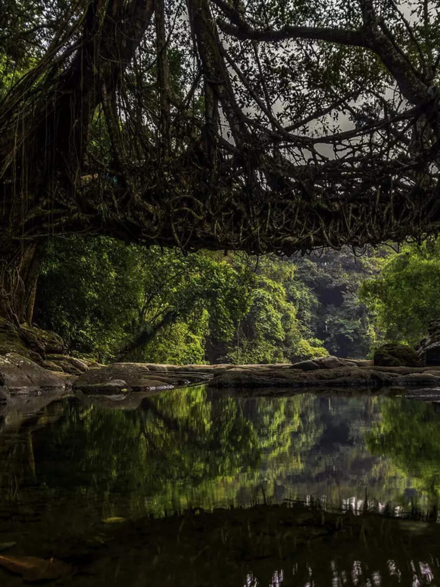 Here’s why Meghalaya is the perfect winter destination! | Zoom TV