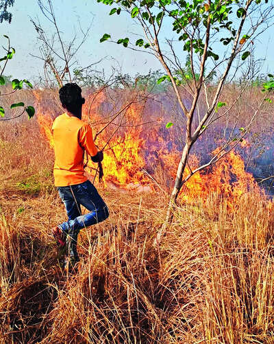 Two Fires In 15 Days In Urban Forest Keep Residents On Toes | Pune News ...