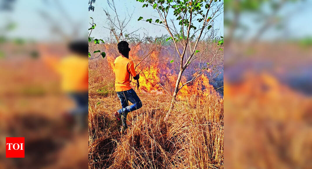 Two Fires In 15 Days In Urban Forest Keep Residents On Toes | Pune News ...