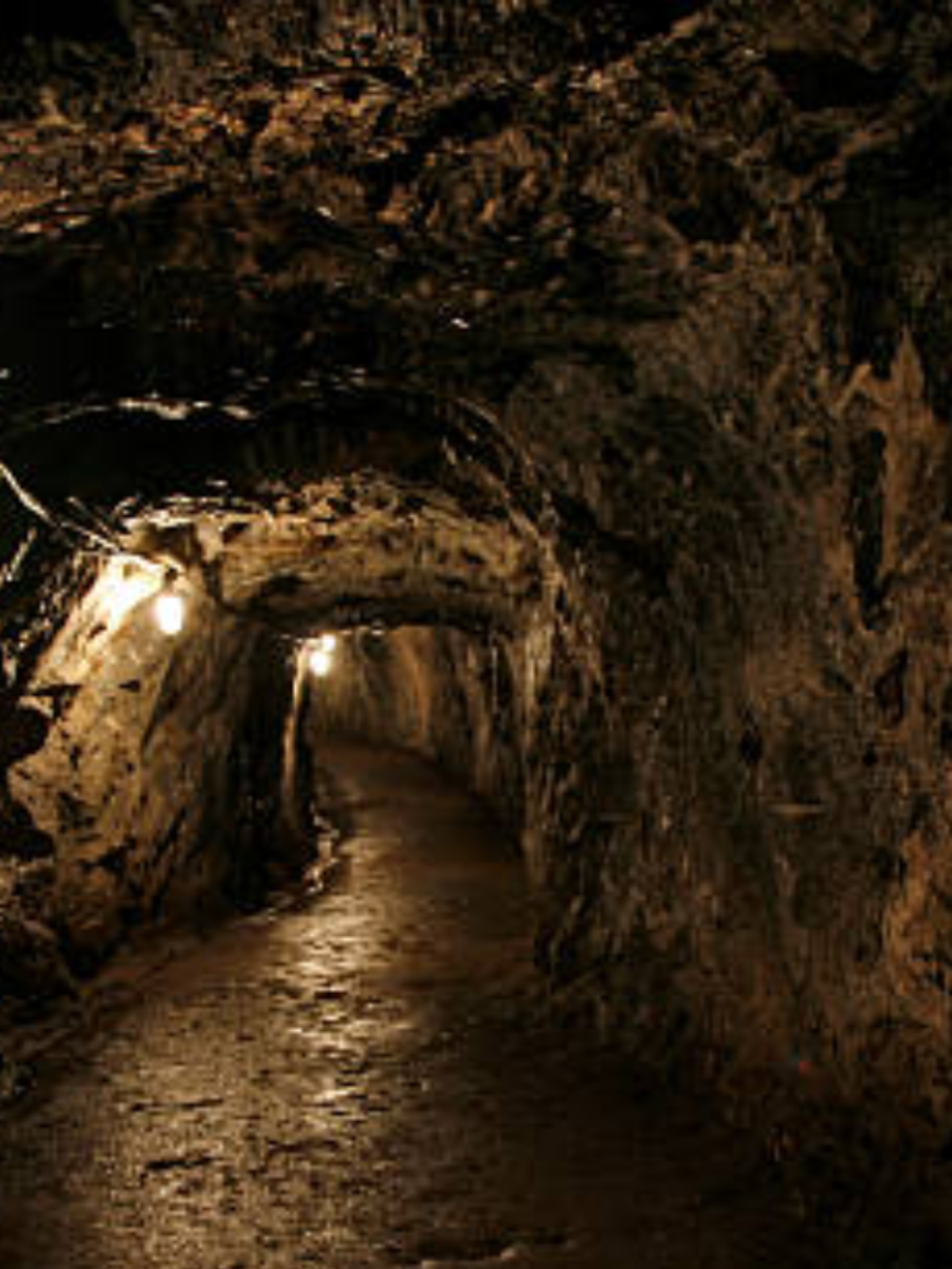 5 Most Successful Tunnel Rescue in History | Times Now