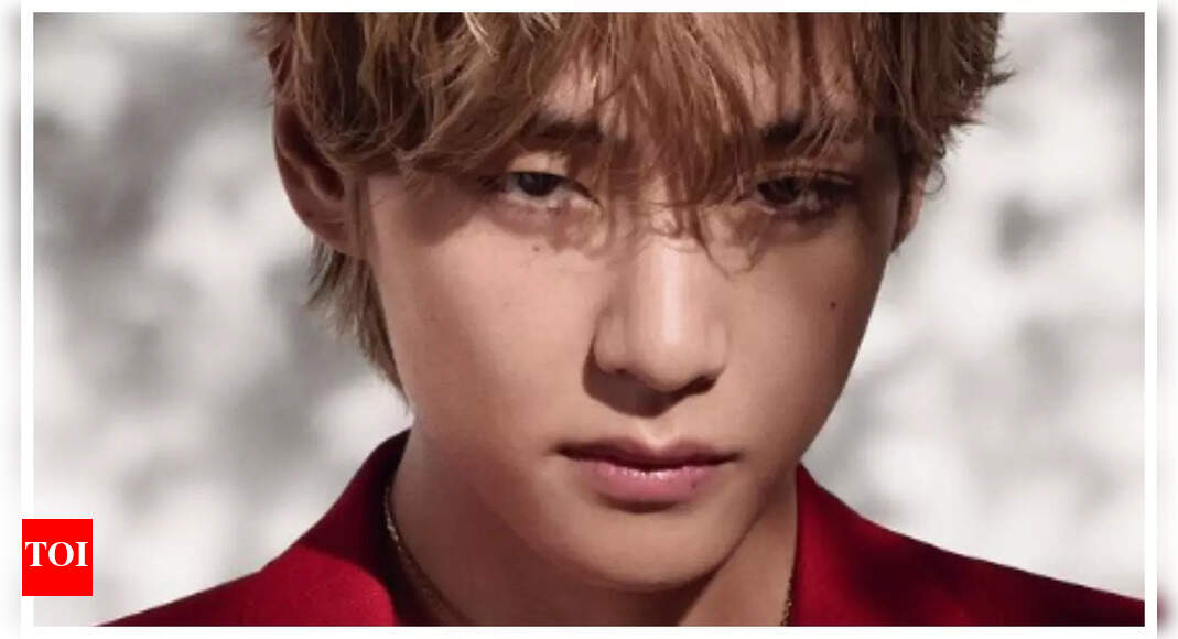 Woman stalking BTS' V charged with violating the Stalking Punishment ...