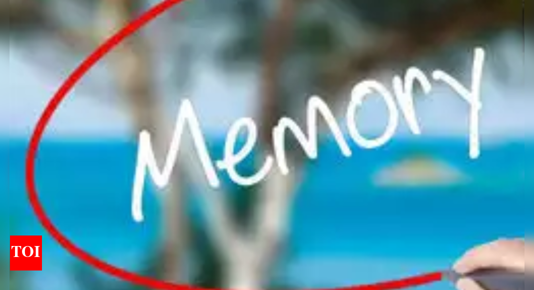 City to host World Memory Championship for mental athletes | Mumbai ...