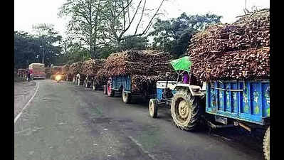 Sugarcane-Laden Vehicles: Preventing Accidents in Pilibhit District ...