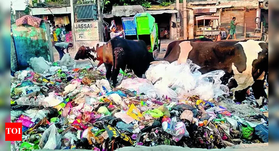 Garbage Issues: City Eyes 135cr Grant To Resolve Garbage Issues ...