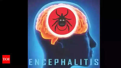Encephalitis: Samples from Nuh test positive for encephalitis | Gurgaon ...
