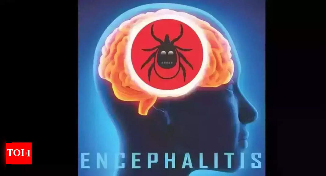 Encephalitis: Samples from Nuh test positive for encephalitis | Gurgaon ...