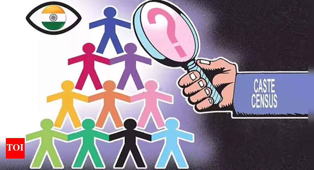 Why caste census matters for social justice | India News - Times of India