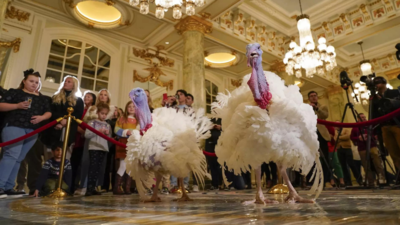 Pardoning the turkey: All you need to know about the unique ...