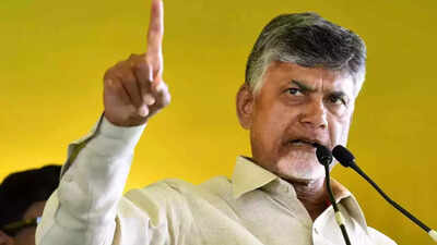 Skill development case: HC grants regular bail to former CM N Chandrababu Naidu | Vijayawada ...
