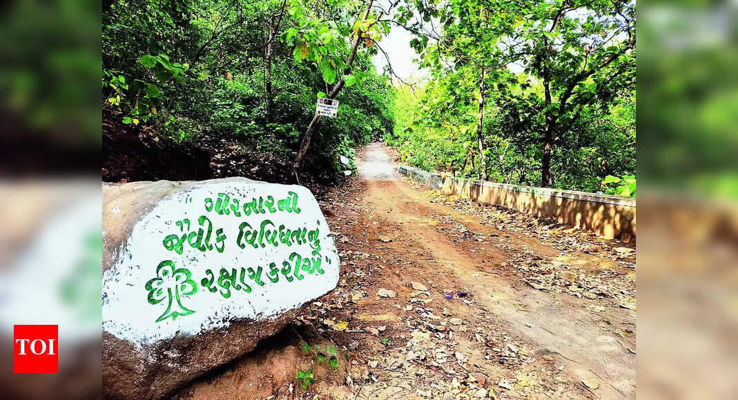 Girnar Parikrama: Plastic Pollution at Girnar Parikrama Rajkot: A Big ...