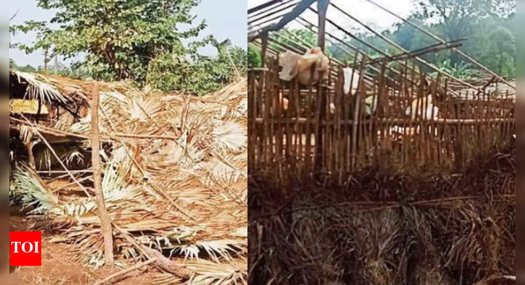 Todgatta'S Maha Anti-Mining Protest: Todgatta’s Maha anti-mining ...