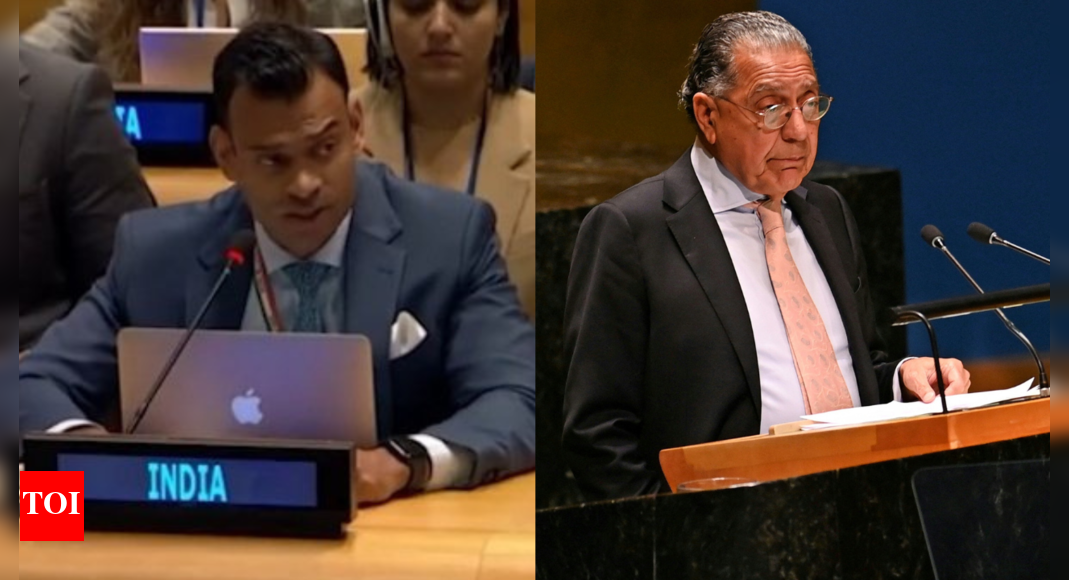 UNSC debate: India dismisses Pakistan's reference to Kashmir | India ...
