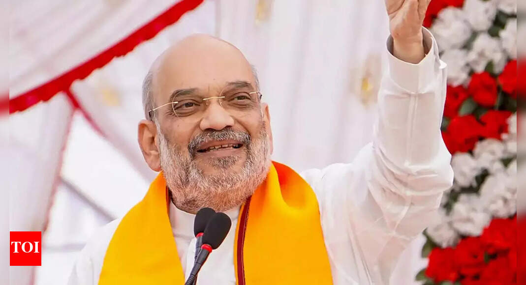 'It is in sync with Constitution...,' Annamalai on BJP's Telangana poll promise of doing away ...