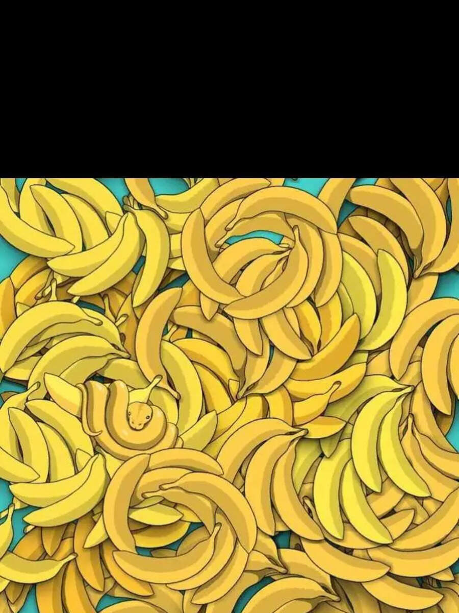 Optical Illusion: Can You Spot The Hidden Snake Among Bananas in 10 ...