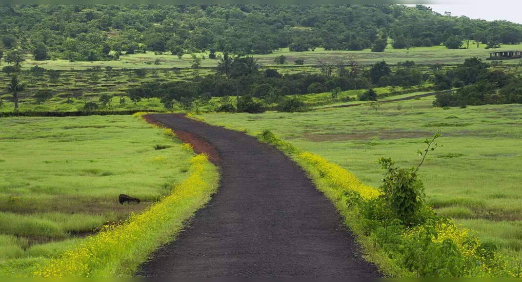 Beaches, treks and forts – many charms of Ratnagiri | Times of India Travel