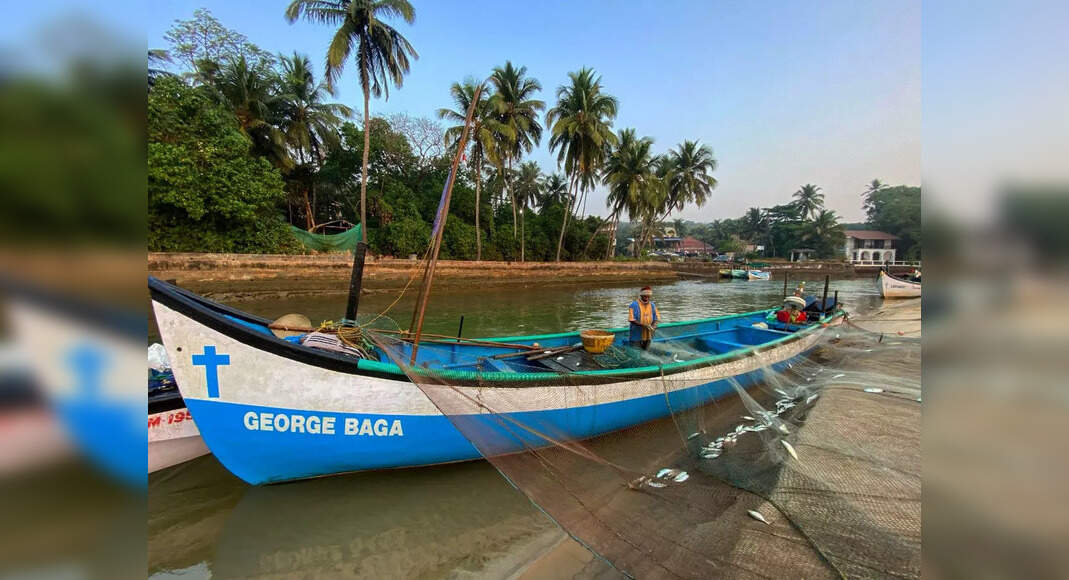 What makes South Goa a paradise for solitude seekers?, - TimesTravel