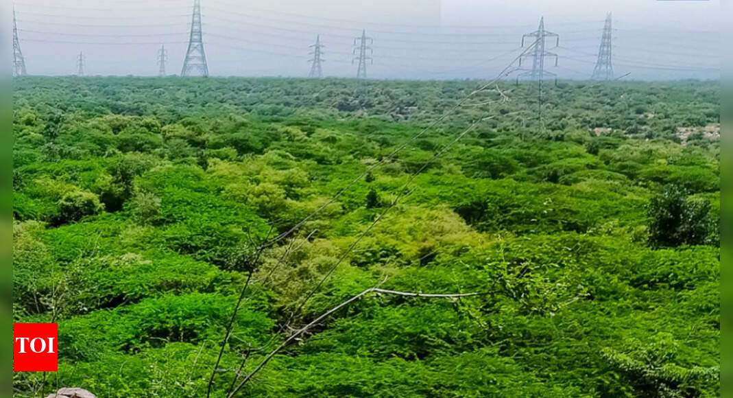 Nicobar green swap held up over land in the Aravalis that MCG won't ...