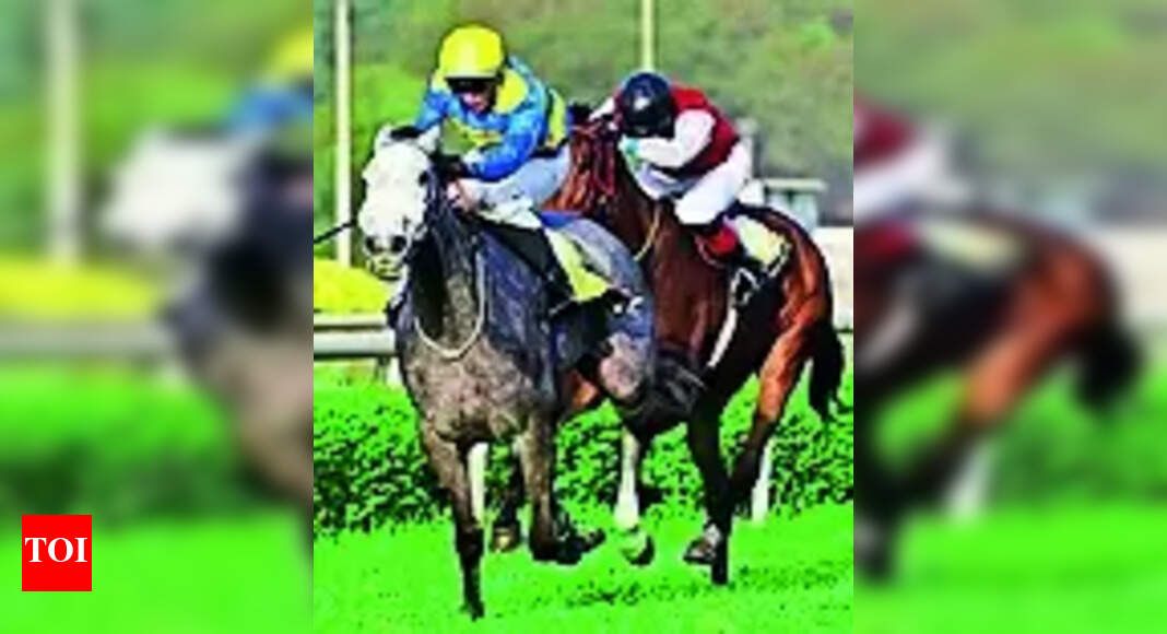 Mumbai Racing Season: Mumbai Racing Season 2023-24: Kicks Off Today at ...