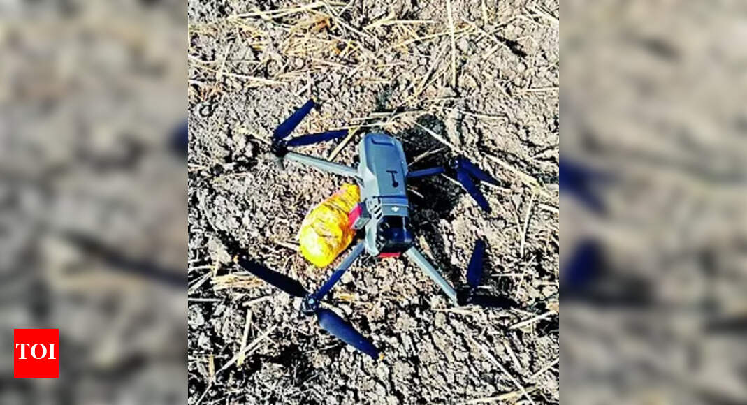 Dengue Fever: Heroin, Drone Found Near Pak Border Areas | Chandigarh ...