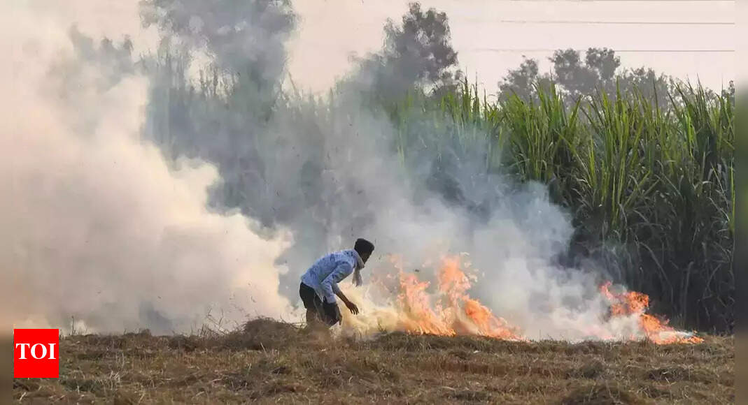 Farm fire fighting: Punjab, Haryana fail to meet their action plan ...