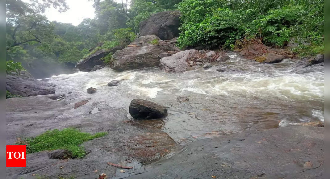 Tamil Nadu Rains Today: Rain in Tamil Nadu: Kovai Kutralam falls closed ...