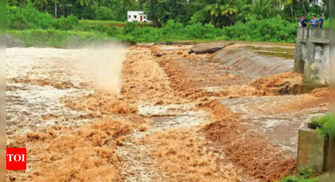 Chennai Rain News: Tamil Nadu Rains: Heavy rain in Nilgiris, Coimbatore ...