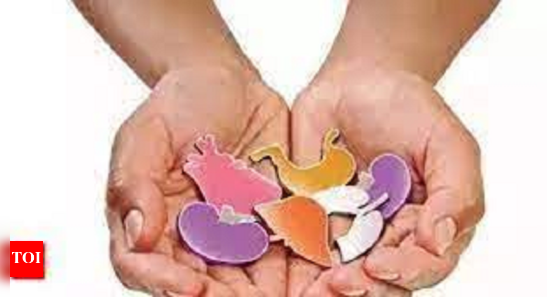 Brain-Dead Man: Organ Donation: Brain-dead Man Gives New Lease of Life ...