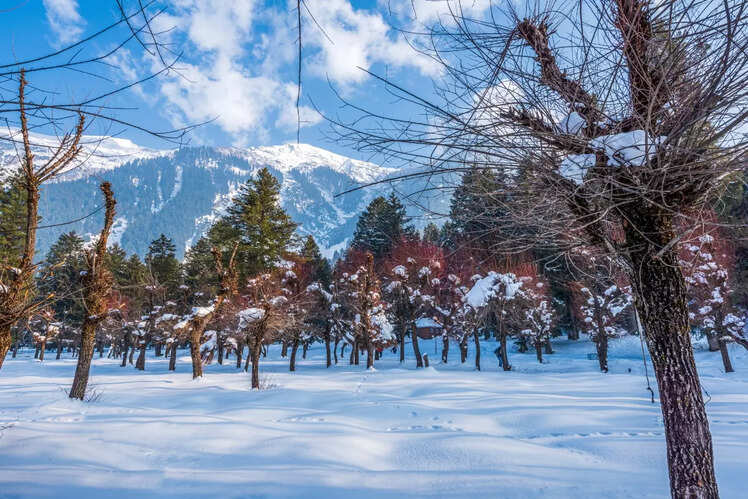 Captivating winter scenes from Kashmir | Times of India Travel
