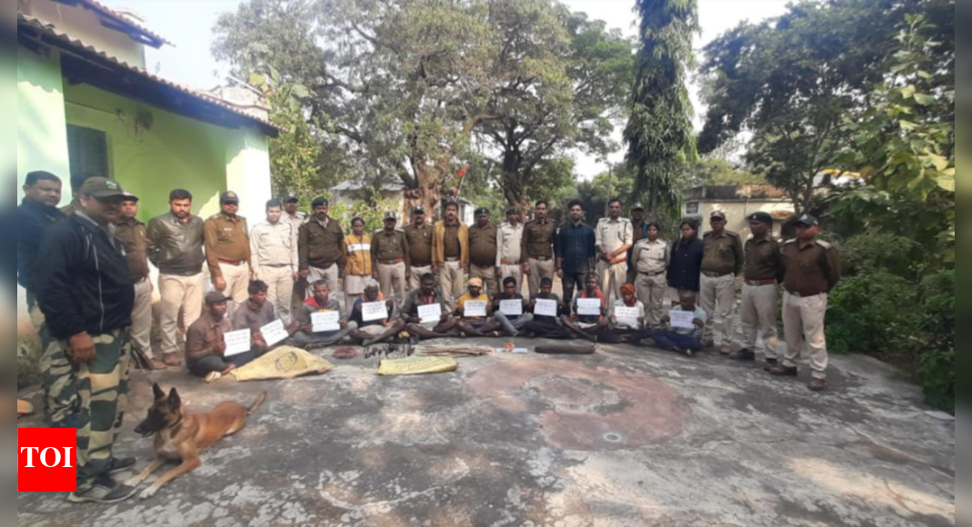 Madhya Pradesh: Villagers poached tiger for 'magical' whiskers; 11 held ...