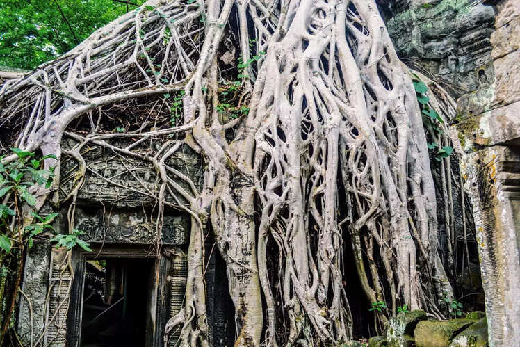 Unseen photos of Angkor Wat, eighth wonder of world! | Times of India ...