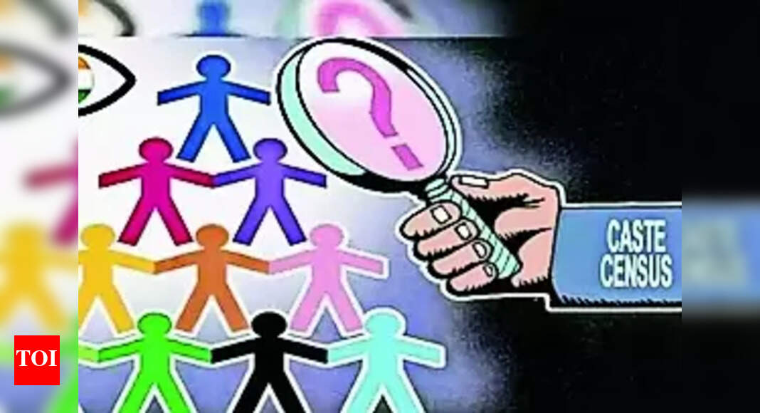 Caste Census: Caste Census in State | Starting from Dec 9 | Vijayawada ...