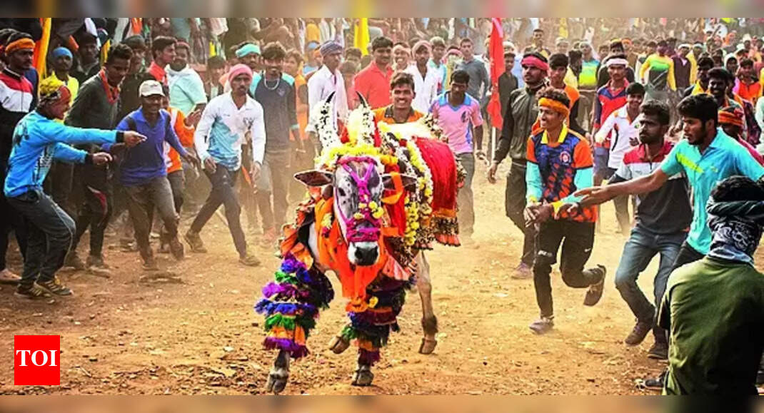 Hori Habba: Enthusiasts Demand To Consider Hori Habba On The Lines Of ...