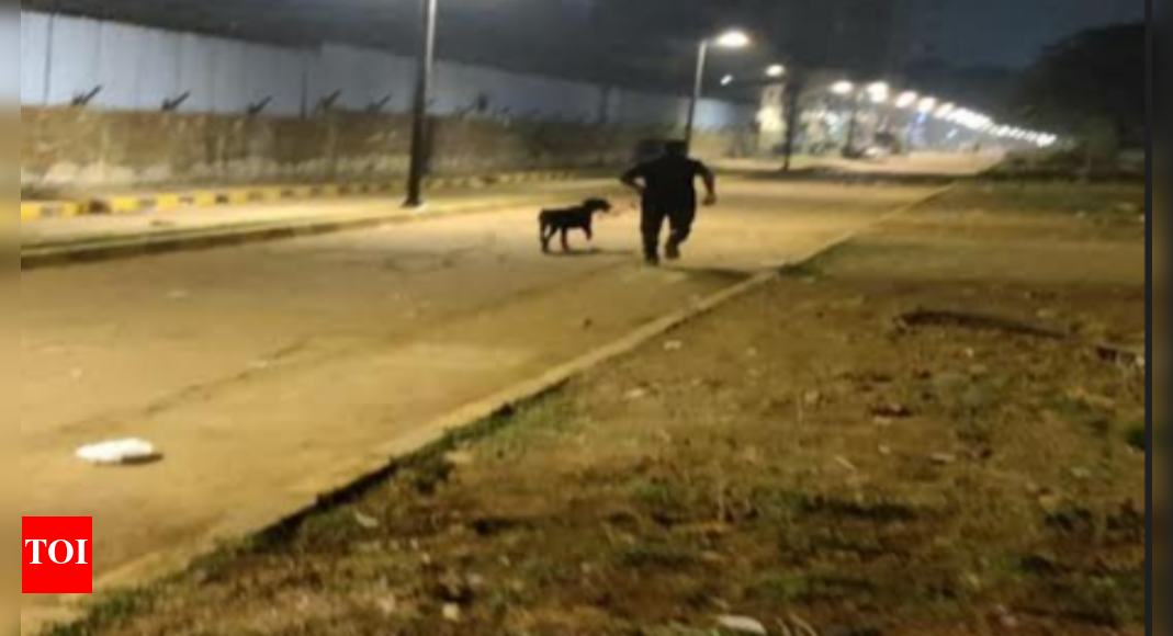 Mumbai: Police dog Leo's service taken to track six-year-old boy ...