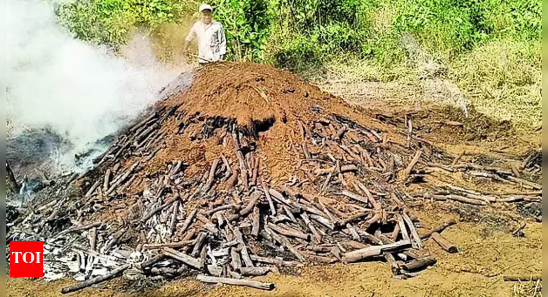 Illegal Charcoal Furnaces: Illegal Charcoal Furnaces Found in Terav ...