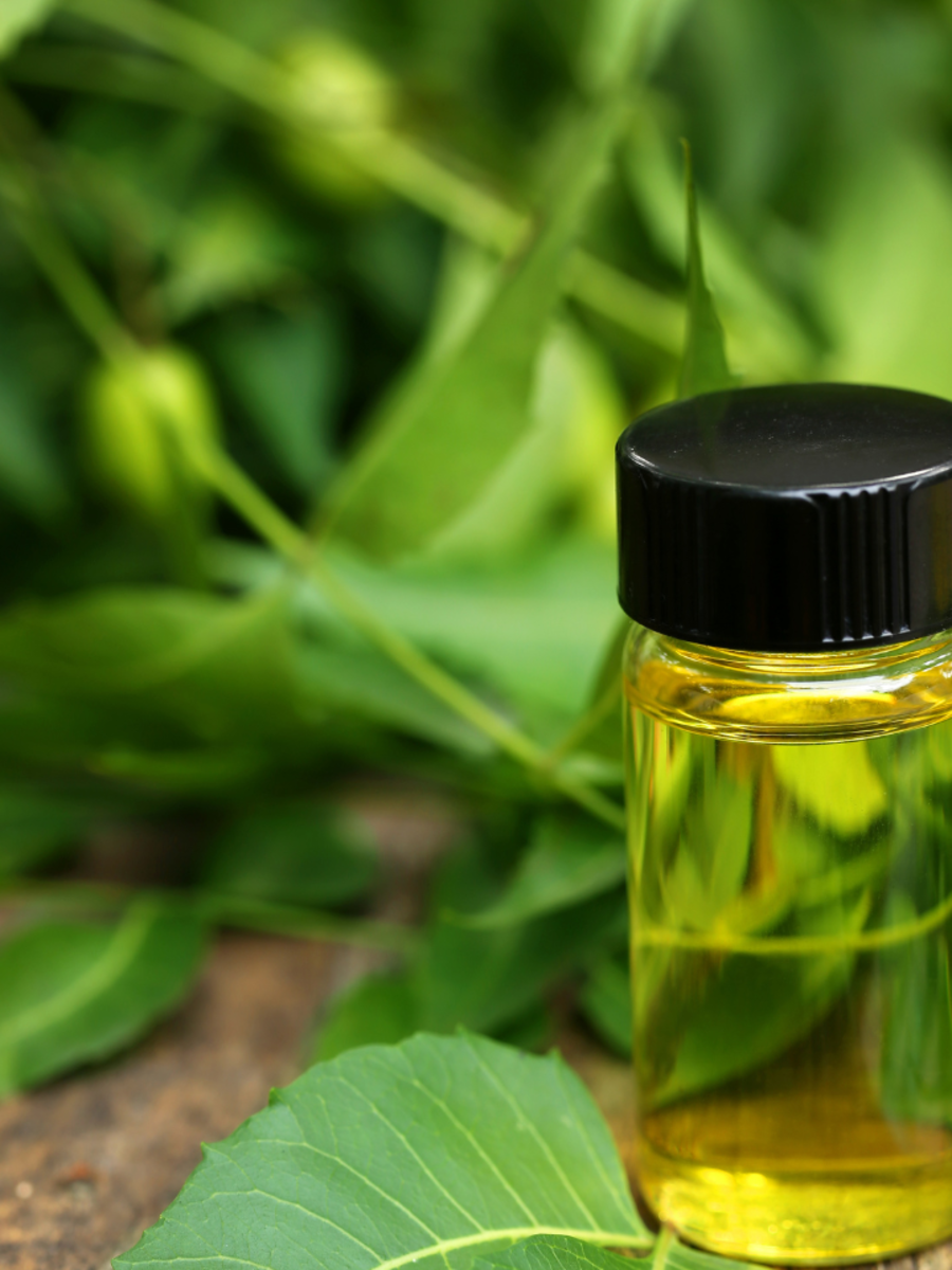 8 Amazing Health Benefits of Neem Leaves | Zoom TV